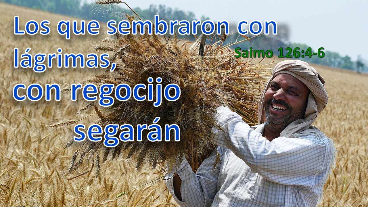 Los que sembraron con lágrimas, con regocijo segarán - Salmo 126:4-6 ...
