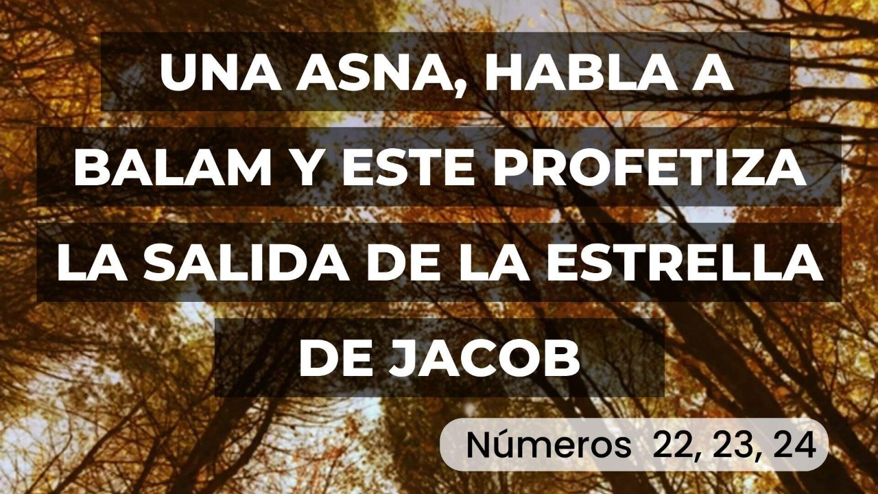 Una asna habla a Balaam y éste profetiza la salida de la estrella de ...