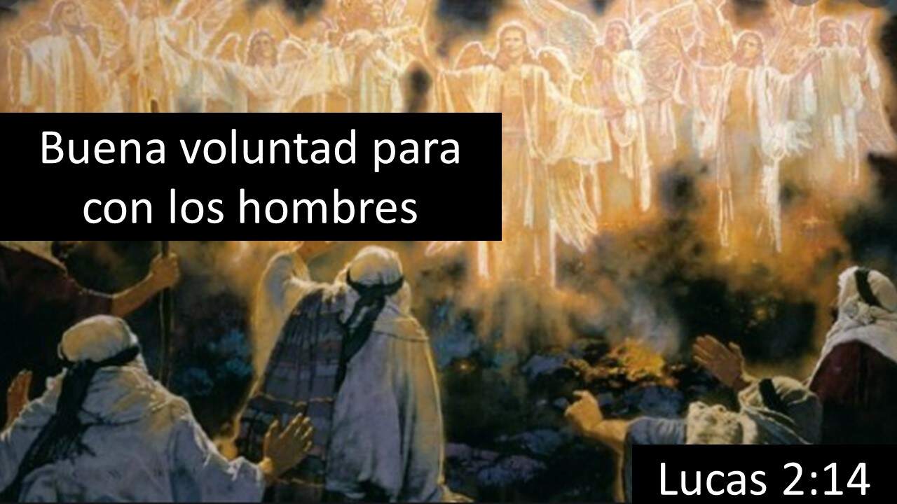 Buena voluntad para con los hombres - Lucas 2:14 - Berith
