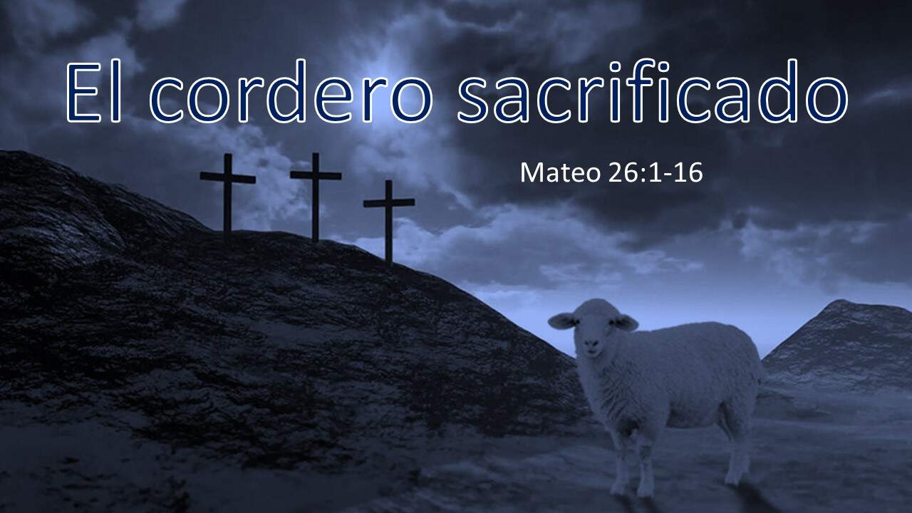 El cordero sacrificado - Mateo 26:1-16 - Berith
