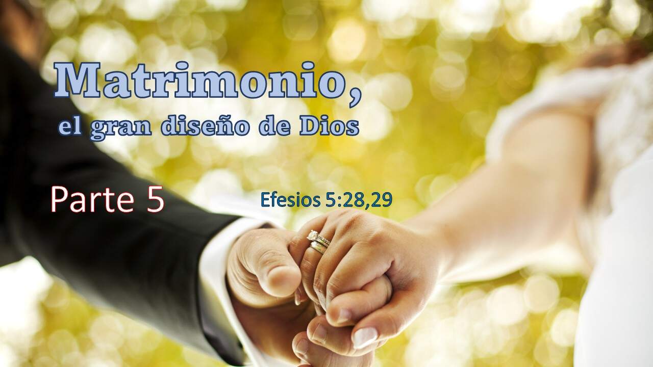 Matrimonio, el gran diseño de Dios - Parte 5 - Efesios 5:28,29 - Berith