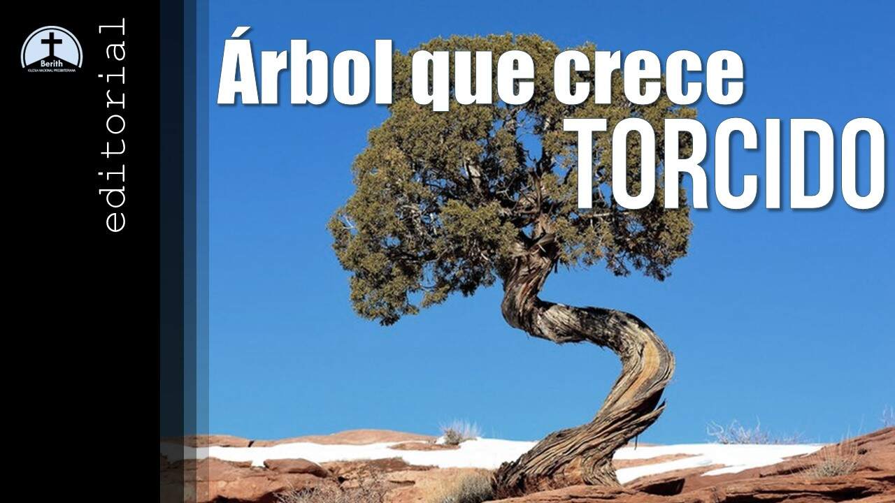 ÁRBOL QUE CRECE TORCIDO - Berith